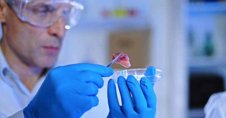 Laboratory Meat: The Future Of The Foodservice Market | Altoo AG